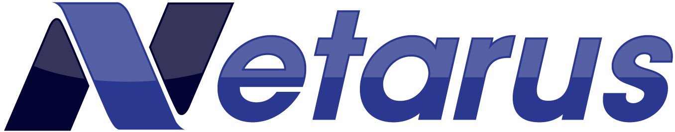Services | Netarus